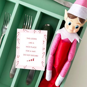 24 Day Elf Kit, Elf Kit for 24 Days of Fun, Shipping Now, Elf Props ...