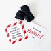 Lump of Coal Single Day Elf Kit, Lump of Coal Gag Gift, North Pole Coal ...