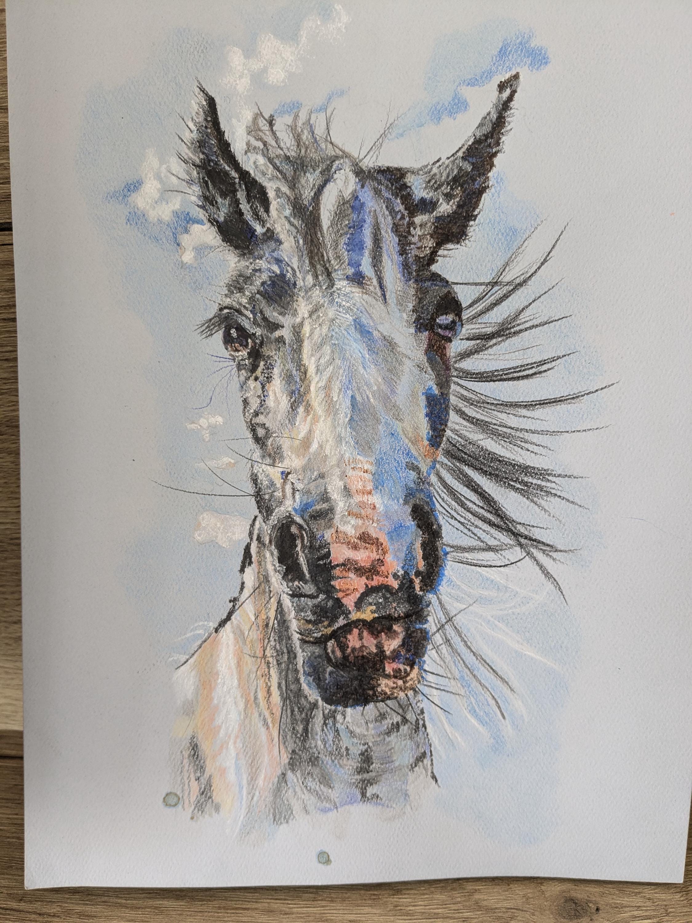 Horse Head Portrait Print | Printable Horse Photography | Digital ...