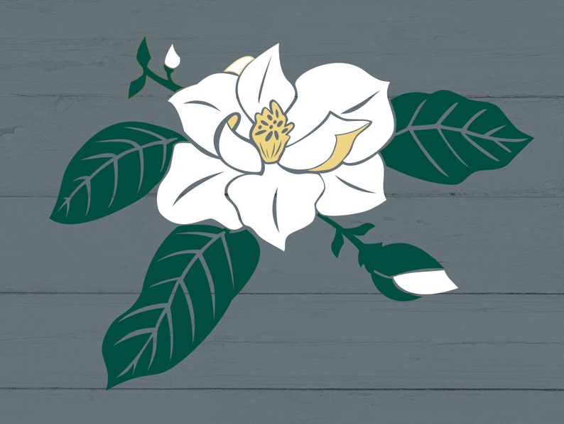 Magnolia Svg Jpeg Png Pdf Flower Cut File Digital Clip - Etsy