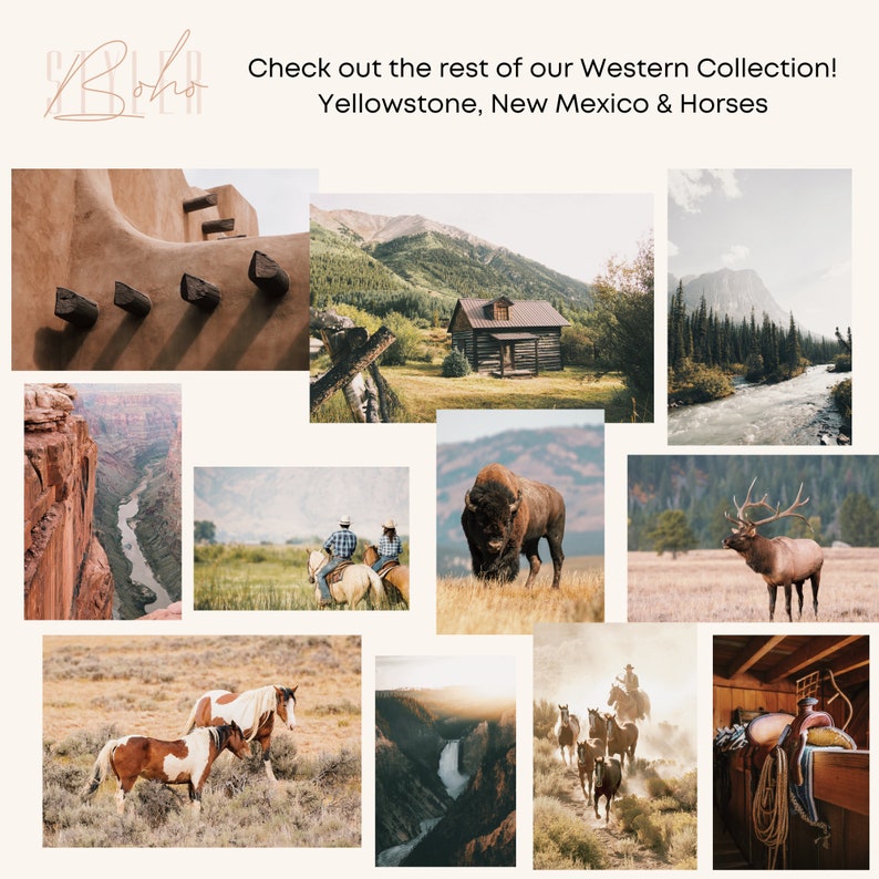 Western Buffalo Print Set, Birch Tree Scenery, Set of 2 Prints, Rustic ...