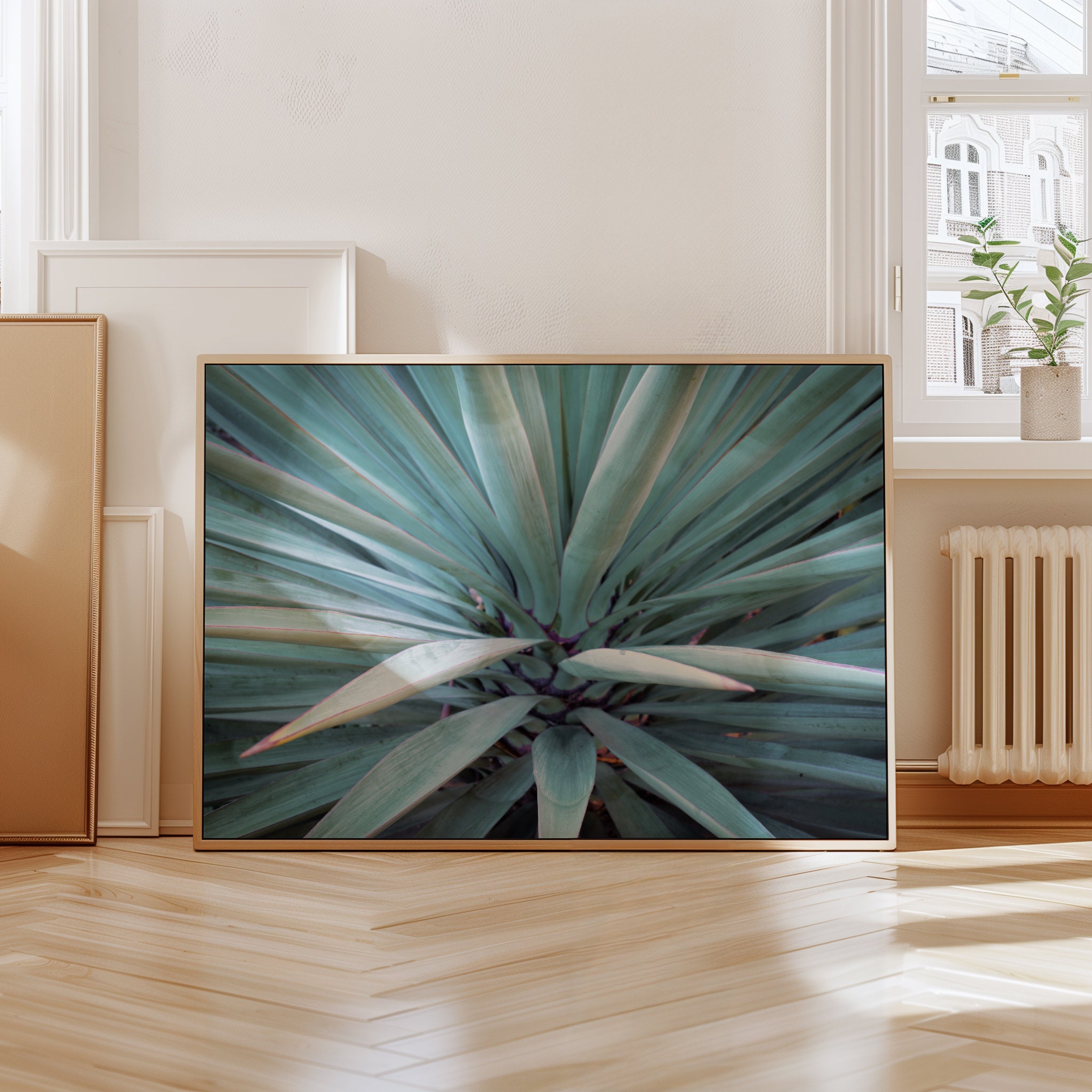 Blue Agave Print, Mexico Wall Art, Agave Farm Poster, Mexico Cactus ...