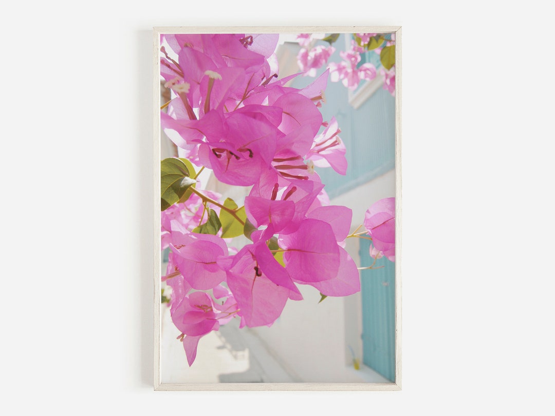 Bougainvillea Print, Mediterranean Wall Art, Greece Prints, Flower ...
