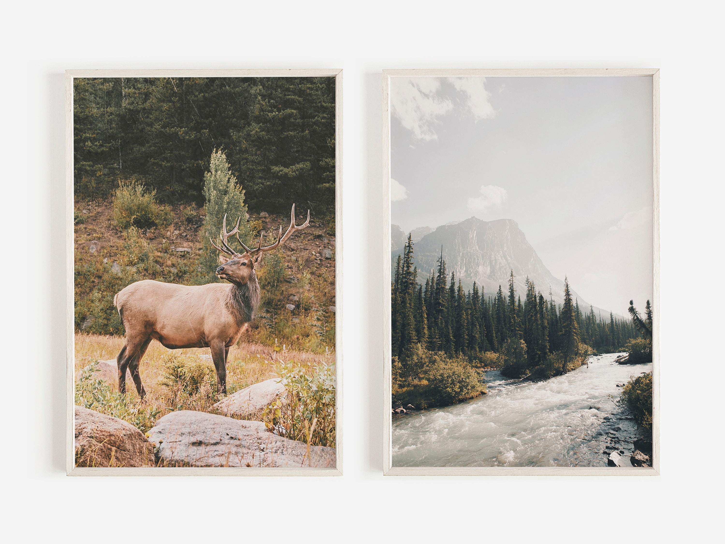 Elk Print Set Forest Animal Wall Art Woodland Photography | Etsy