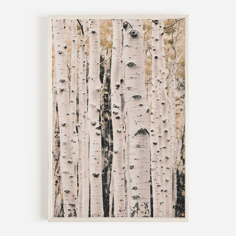 Birch Tree Prints - Etsy