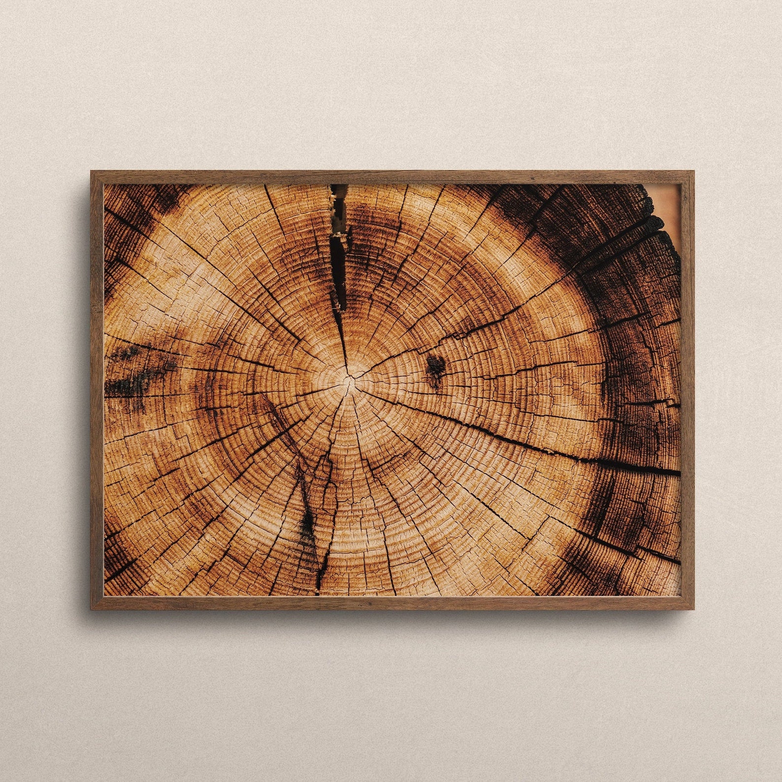 Tree Ring Print Tree Slice Photo Wood Wall Art Rustic Home - Etsy