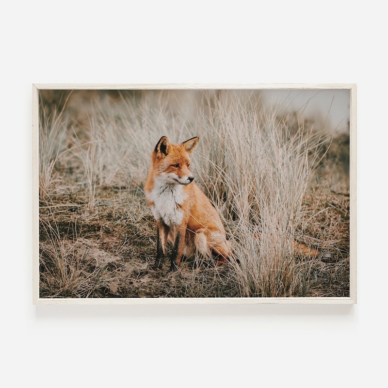 Fox Wall Art - Etsy