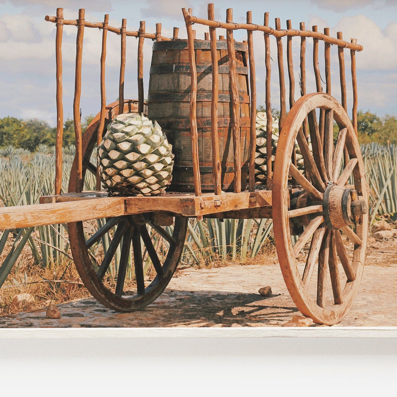 Rustic Wagon on Agave Farm, Mexico Wall Art, Agave Farm Printable ...