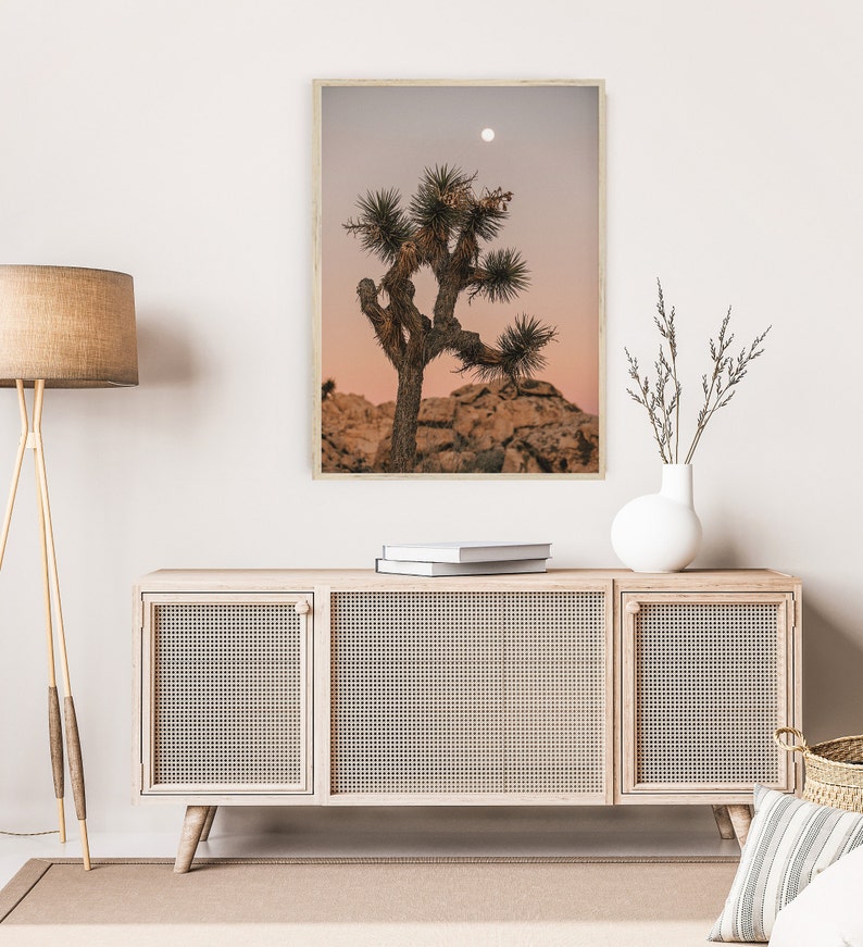 Joshua Tree California, Desert Landscape, Southwest Desert, Cactus ...