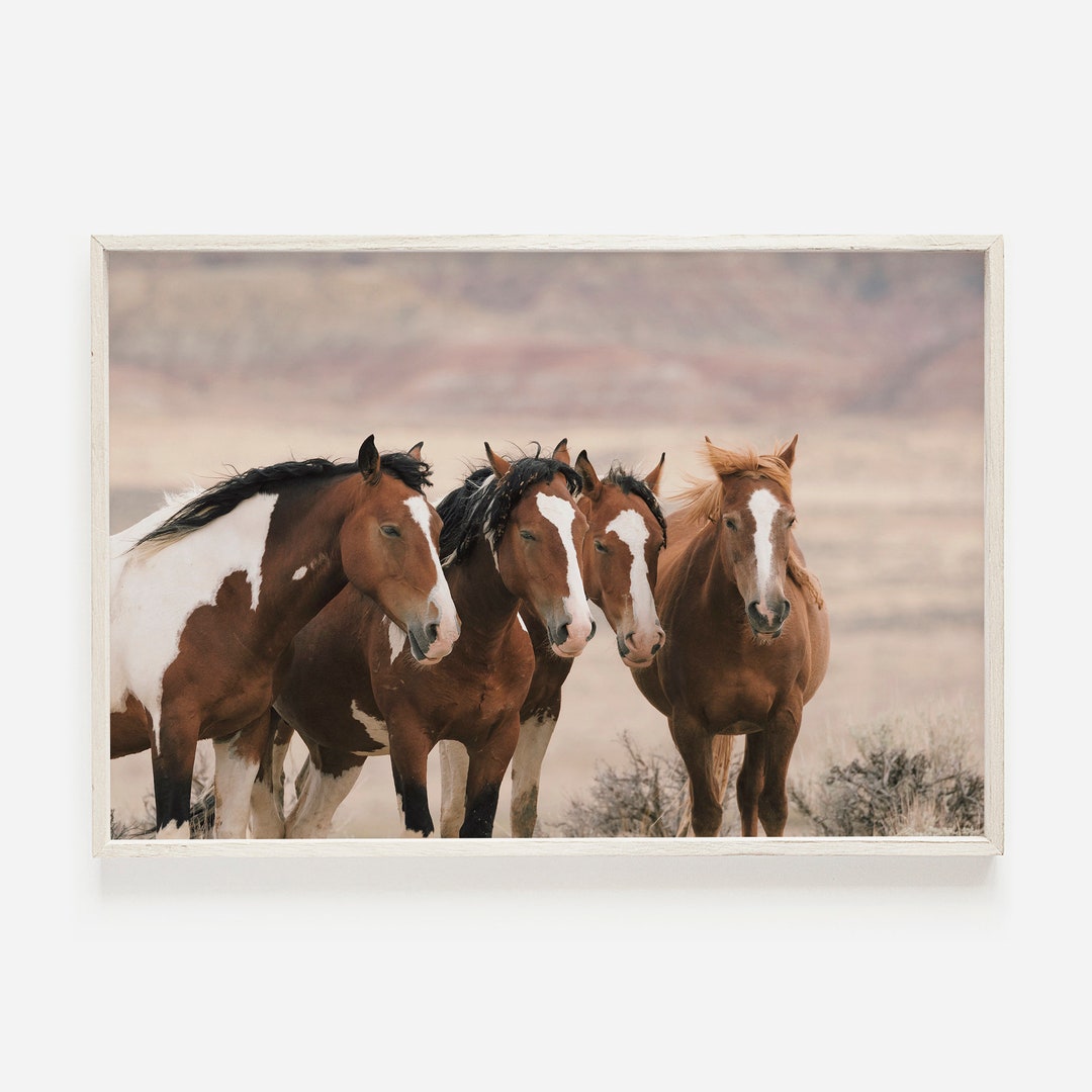 Wild Horses Wall Art, Western Horse Photo, Southwestern Decor ...