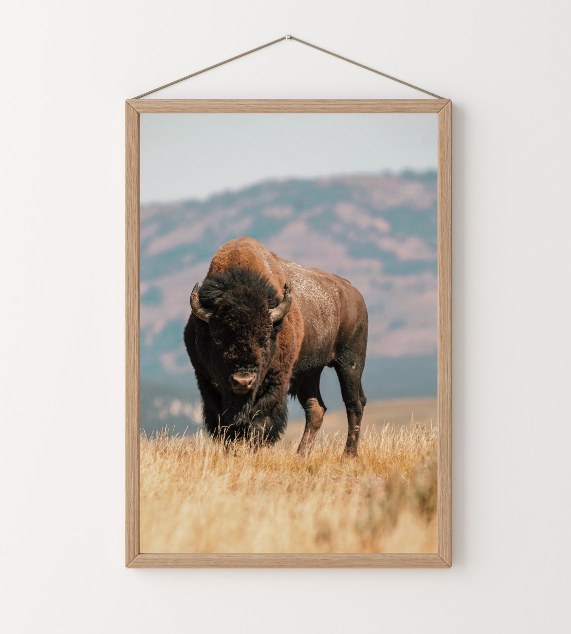 Buffalo Print Wildlife Photography Southwestern Decor - Etsy