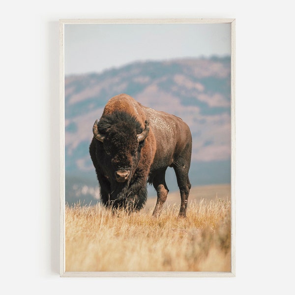 Buffalo Print - Etsy