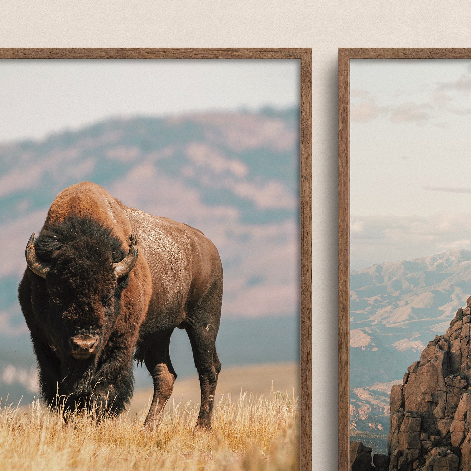 Bison Print Set Set of 2 Prints Western Decor Arizona | Etsy