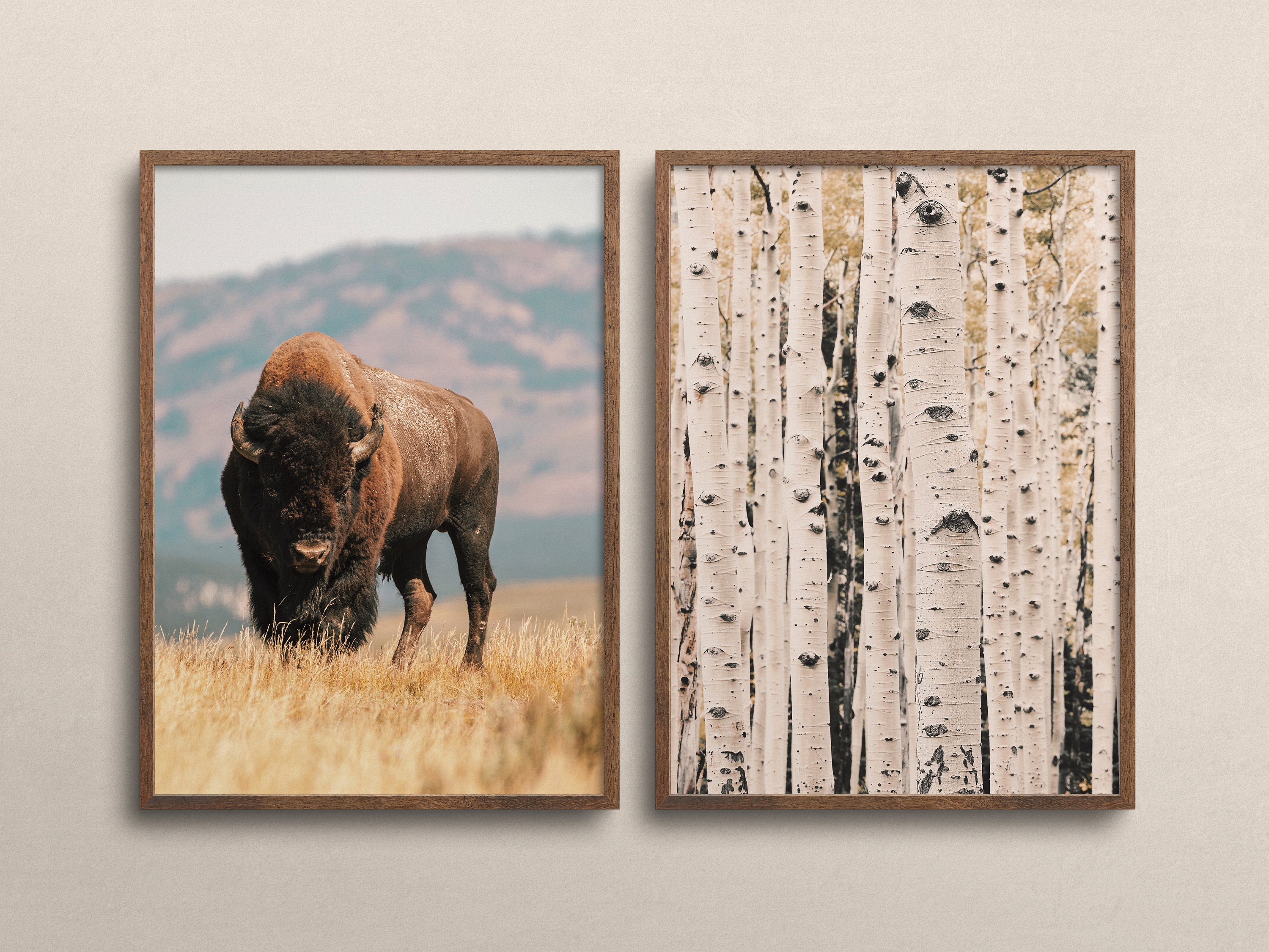 Western Buffalo Print Set, Birch Tree Scenery, Set of 2 Prints, Rustic ...