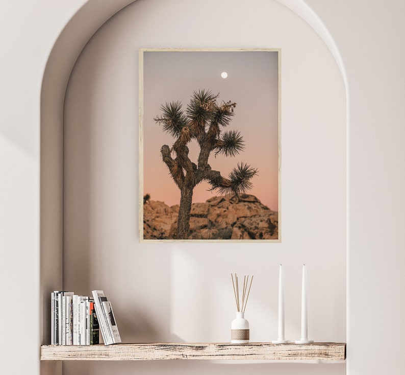 Joshua Tree California, Desert Landscape, Southwest Desert, Cactus ...