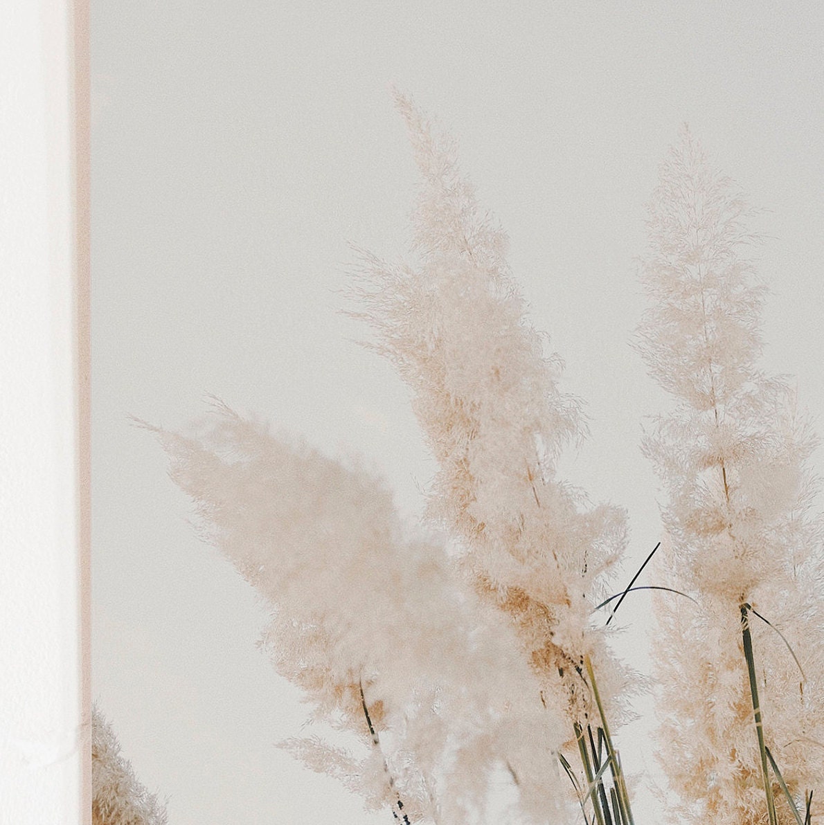 Neutral Pampas Wall Art Boho Pampas Grass Print Large Wall - Etsy