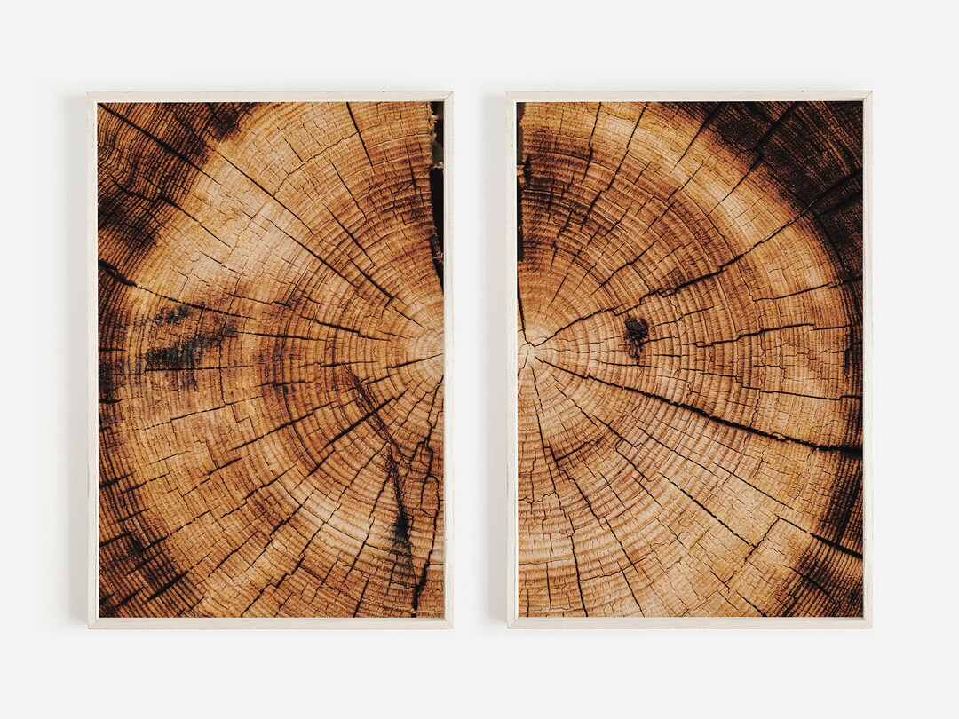 Tree Ring Print Set, Log Stump Photo, Set of 2 Prints, Log Pile Poster ...