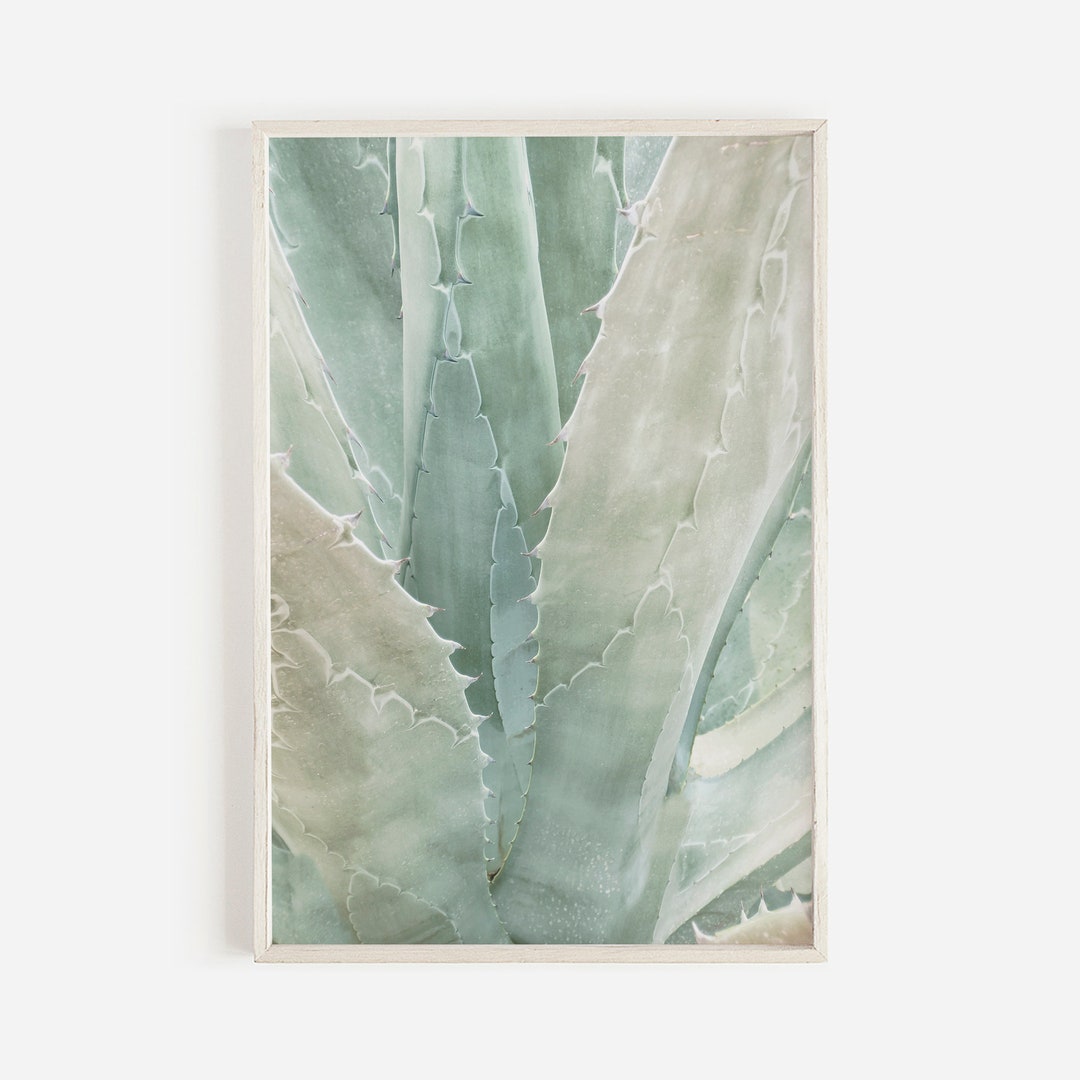 Agave Plant Poster, Close up Plant Photo, Cactus Digital Art, Green ...