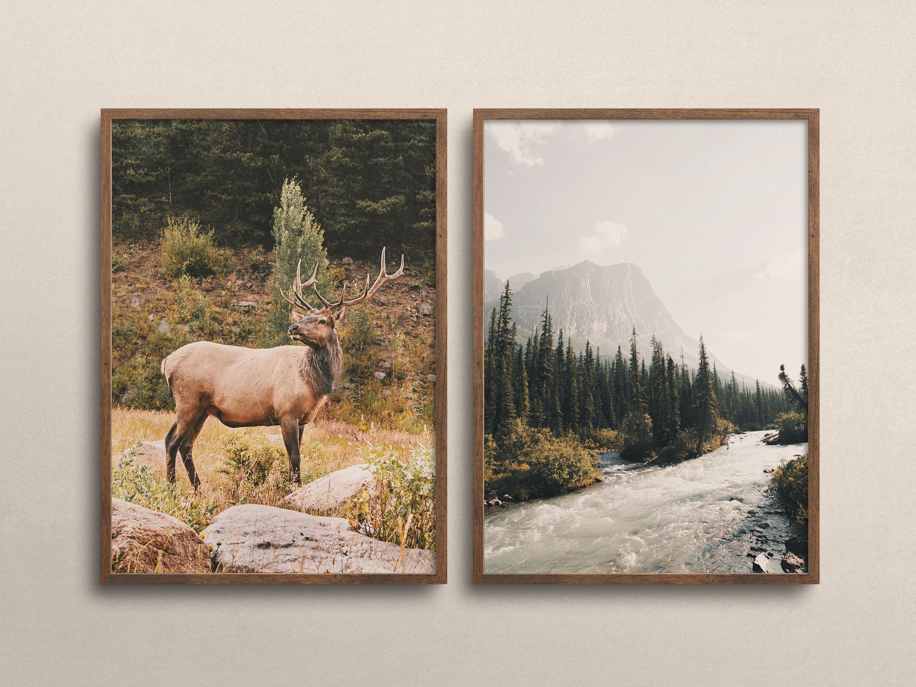 Elk Print Set Forest Animal Wall Art Woodland Photography | Etsy