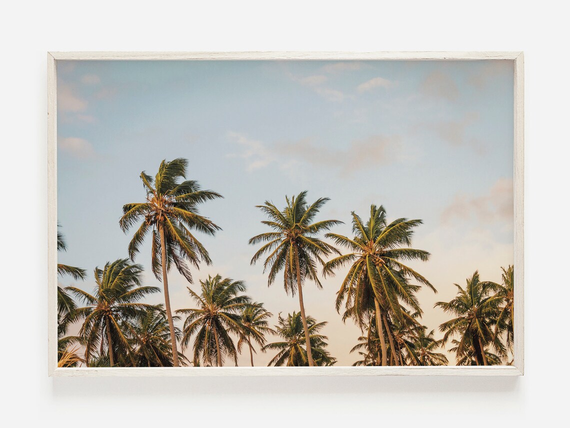 Palm Tree Sunset Print Landscape Beach Photography Printable | Etsy