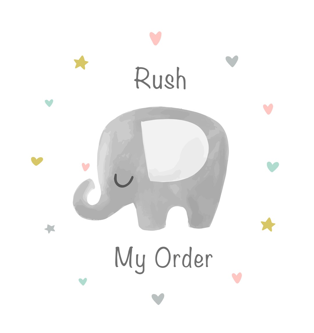 Rush My Order Service, Rush Processing - Etsy