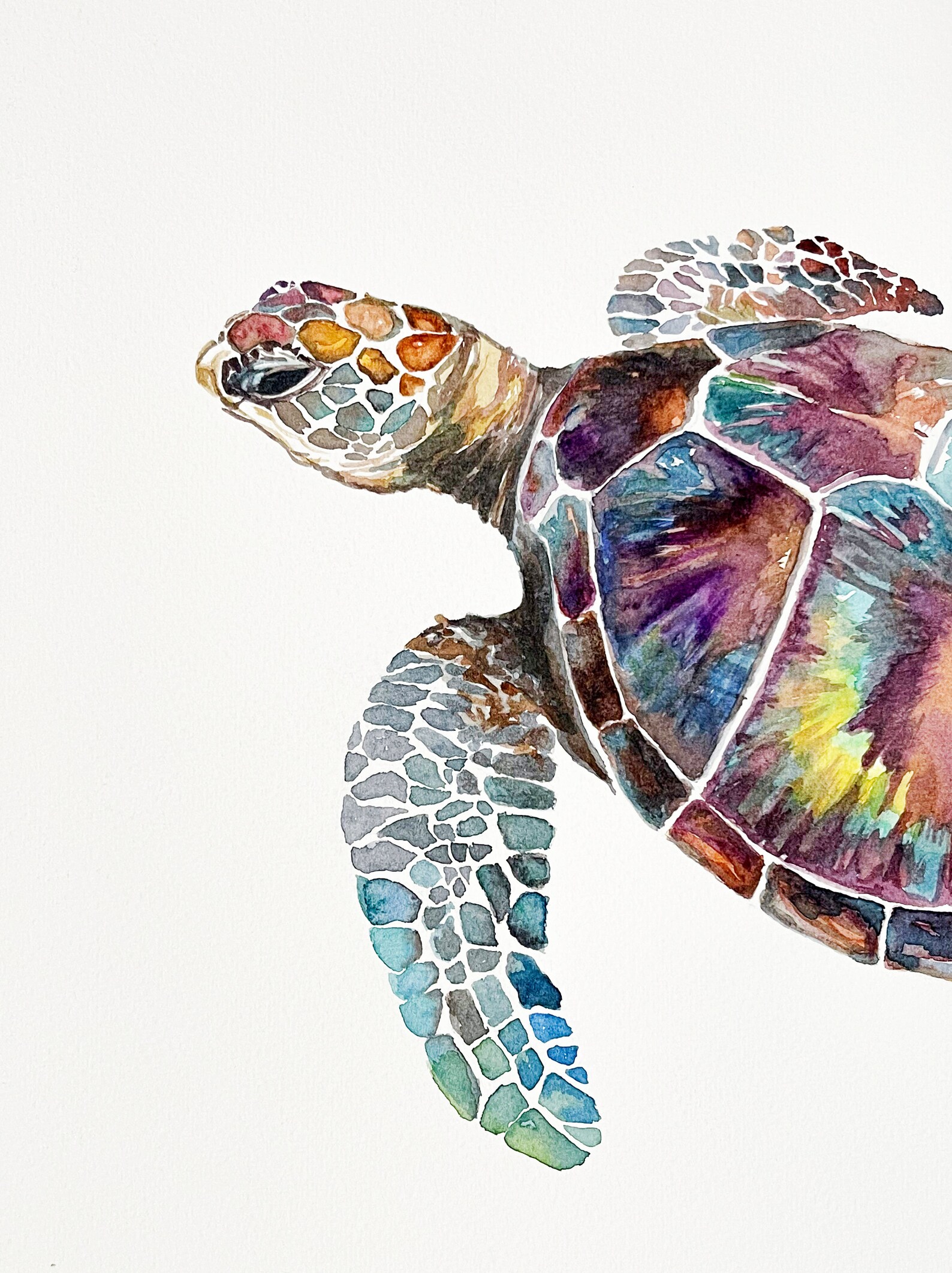 Sea Turtle Print From Original Watercolor by Collette Golato - Etsy