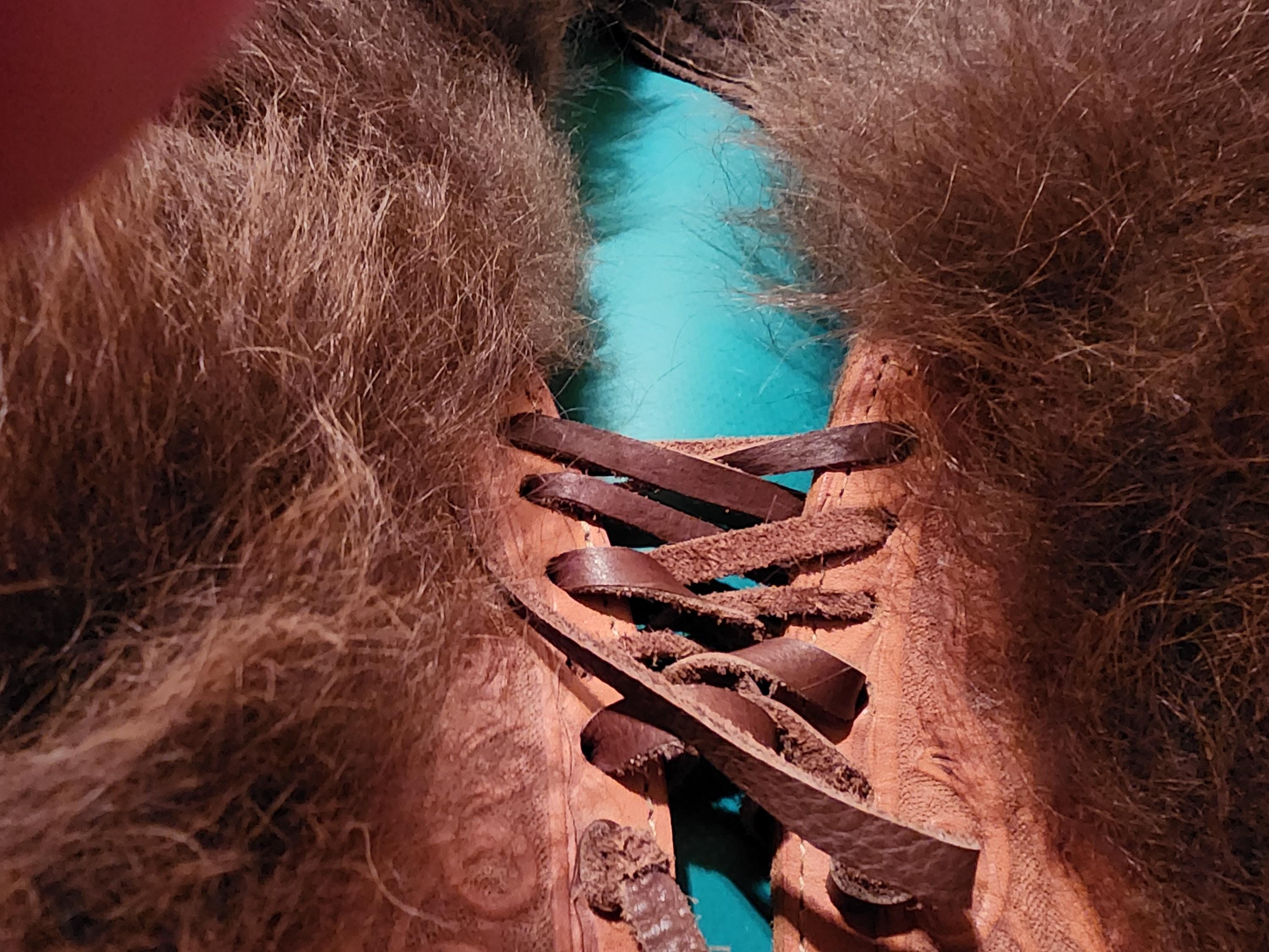 Buffalo Wooly Chaps, Hand Crafted, NEW - Etsy