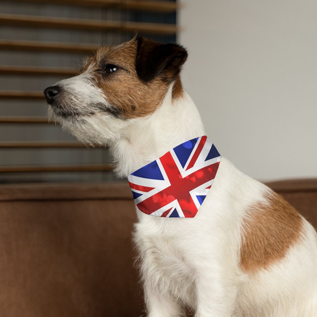 English Flag Pets Collar Bandana England UK Flag Puppy - Etsy