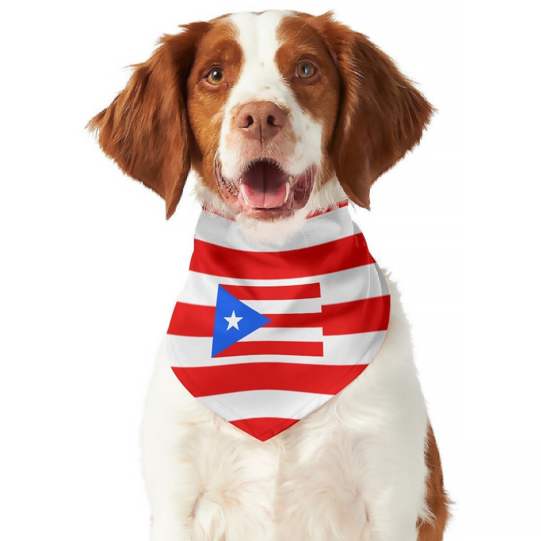 Puerto Rico Pet's Scarf, Double Sided, Puerto Rico Flag, Print, Dogs ...
