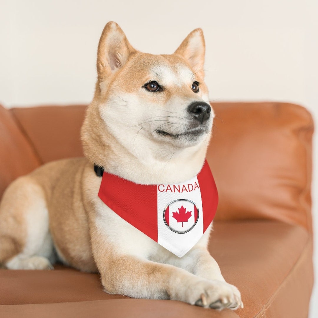 Canadian Flag Pets Collar, Bandana, Canada, Nordic, Puppy, Cats, Girls ...