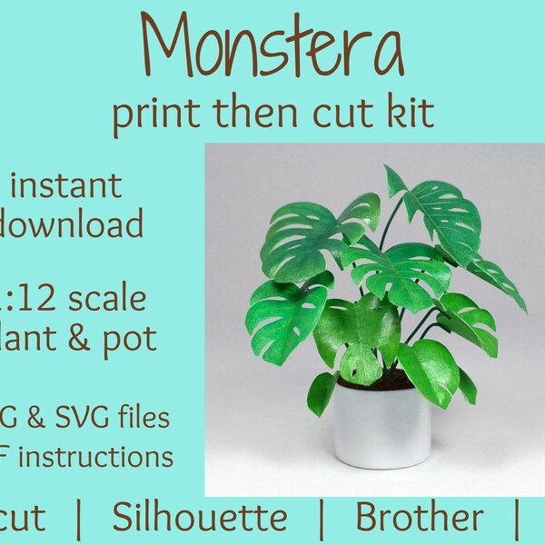 Miniature Plants - Etsy