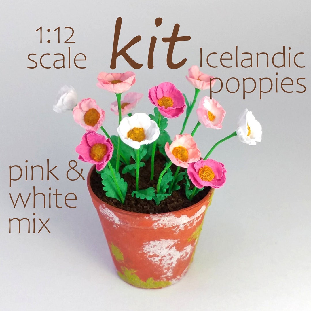 Icelandic Poppies, 1 12 Scale, Mini Flower Kit Miniature Flowers Dolls ...