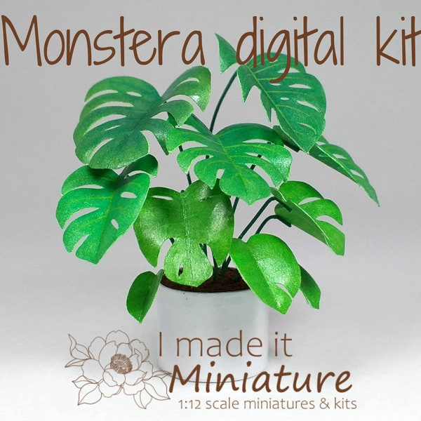 Miniature Plants - Etsy