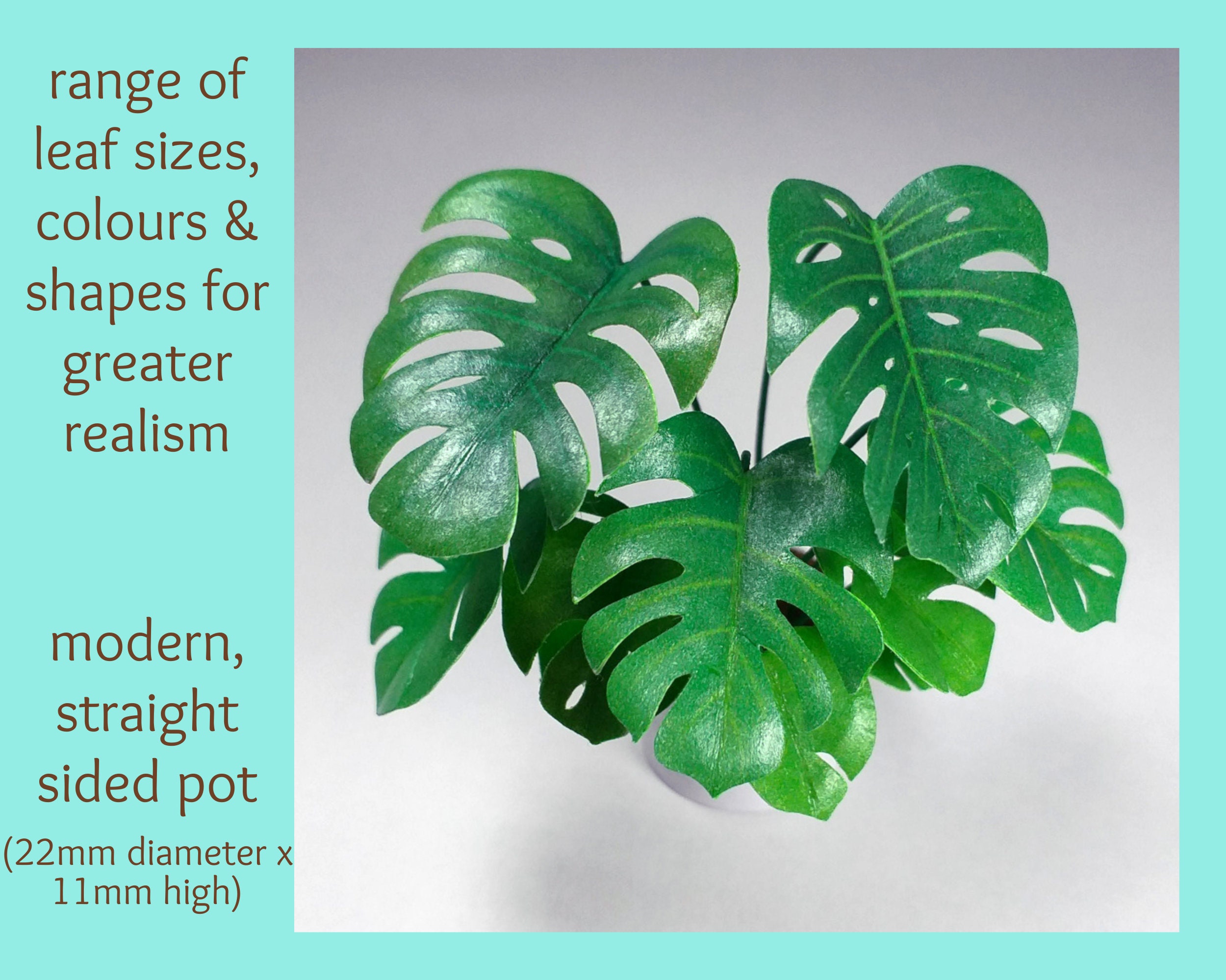 1 12 Scale Monstera Printable Download Miniature Plant Kit - Etsy