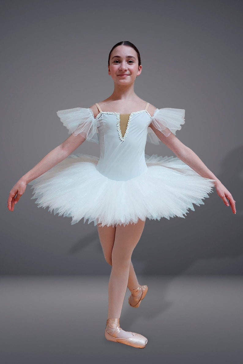 Professional Romantic Ombre Ballet Tutu - Etsy