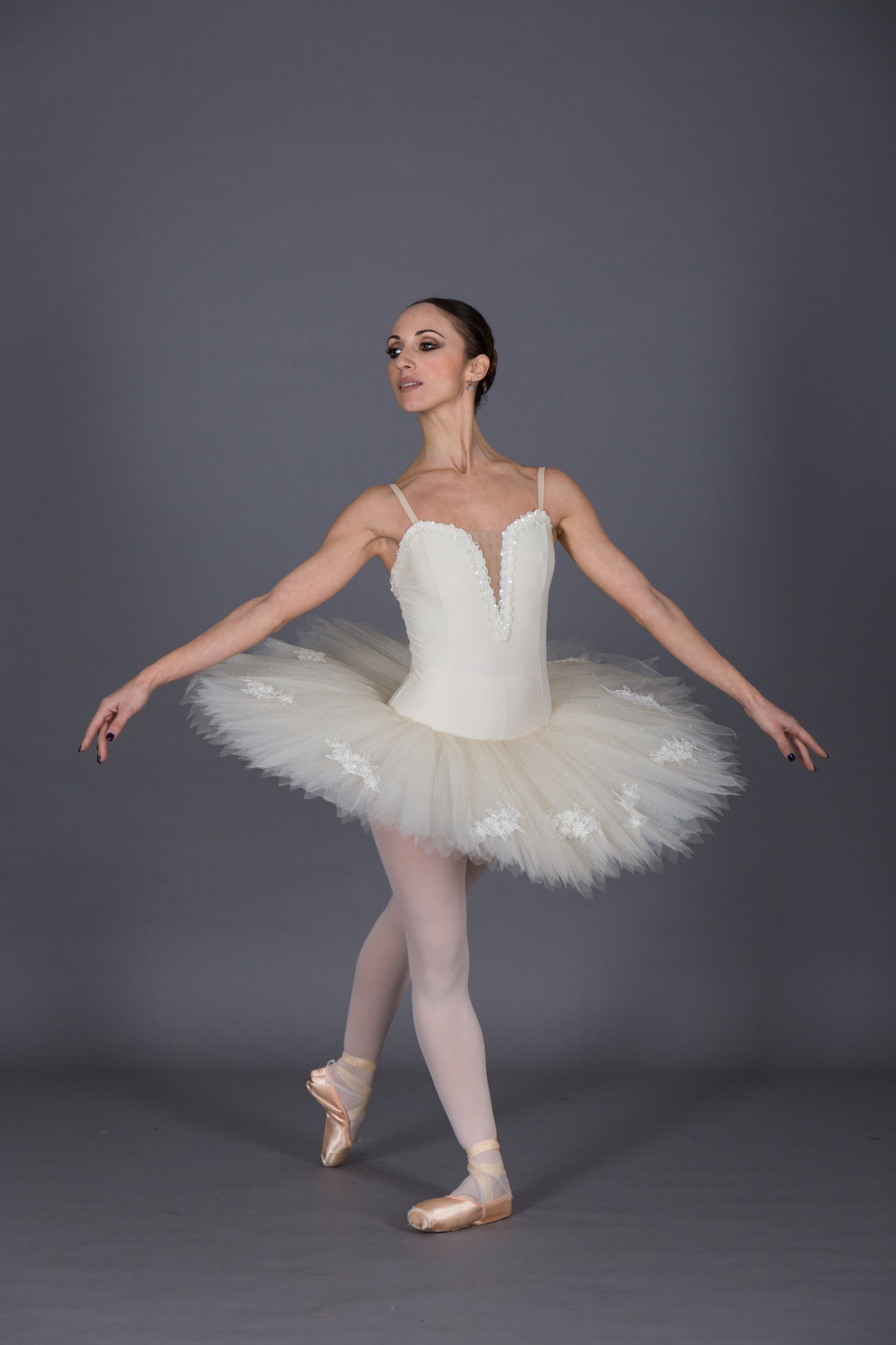 Princess Aurora Tutu - Etsy