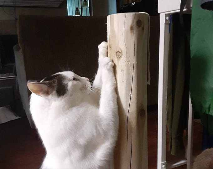 Hardwood Sisal Custom Cat Scratching Post - Warm Catpuccino Tan Base ...