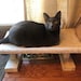 Cat Bed for Over Registers/pet Bed/kitten/cats/cat Perch/cat Sleep/pet ...