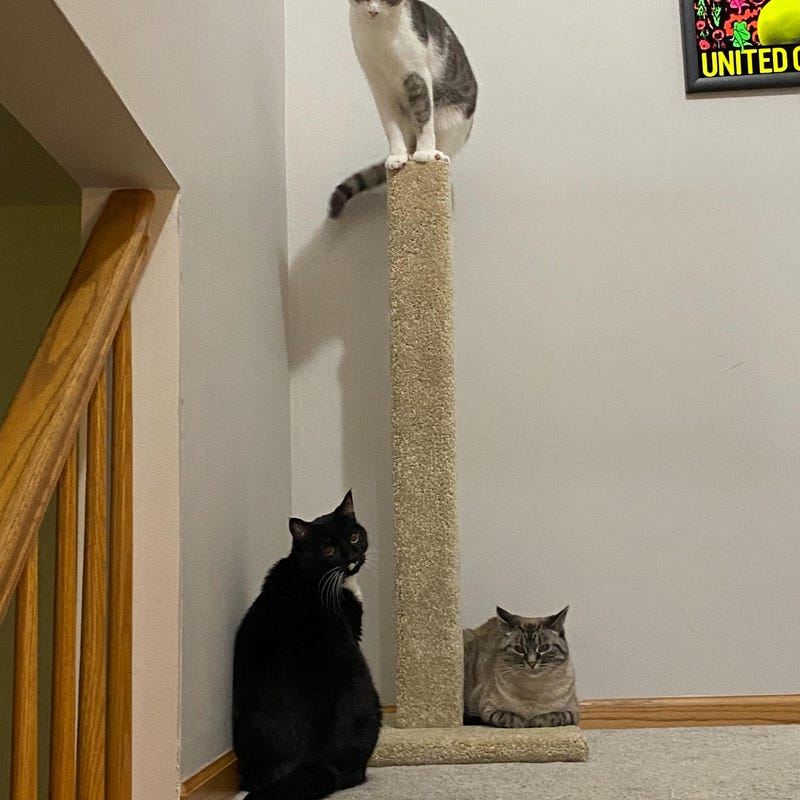 Marjem Kat Bb Gifts - 60+ Gift Ideas for 2025