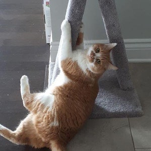 A-frame Cat Scratch Post/scratching Post/cat Scratcher/kitten/scratcher ...