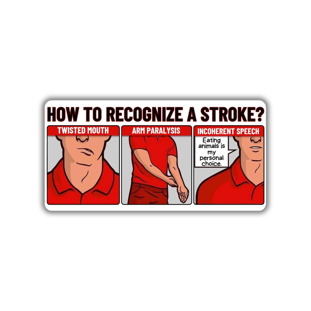 Vegan Activist Stickers Pack Vegan Meme How to Recognize a Stroke ...