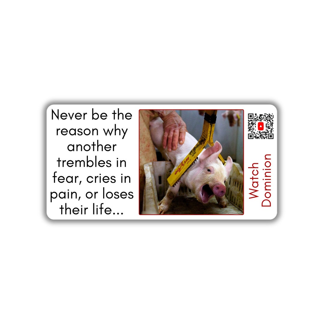 Vegan Activist Stickers Pack Activism Pig Sticker Screaming Watch ...
