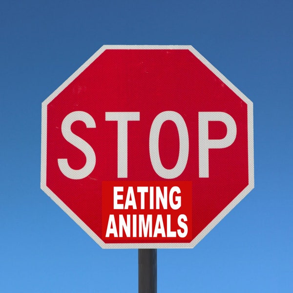 Vinyl Stop Sign Stickers - Etsy