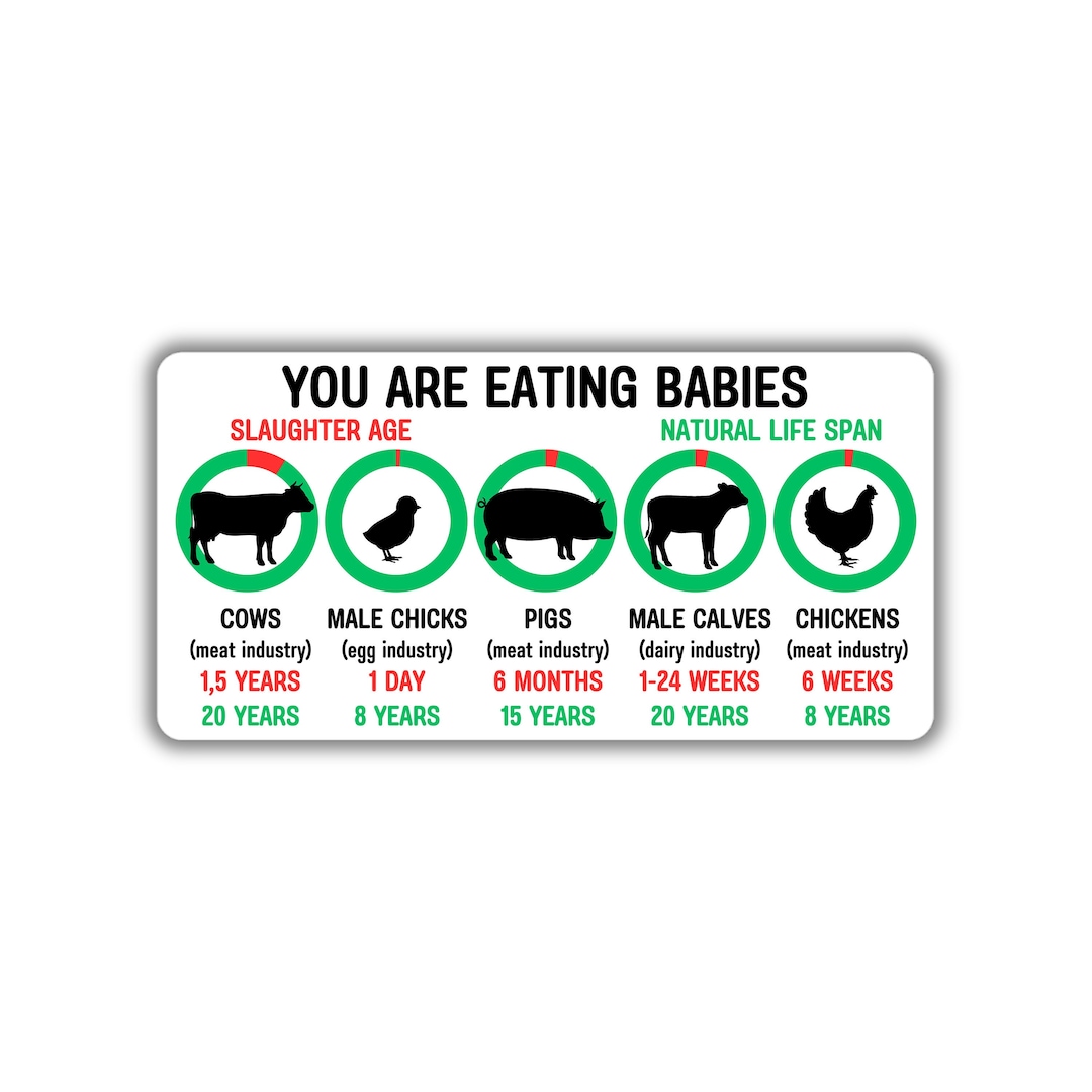 Vegan Activist Stickers Pack Vegan Meme You Are Eating Baby Animals ...