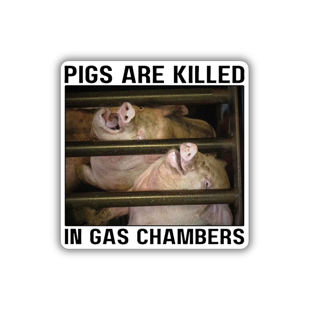 Vegan Activist Stickers Pack Pigs Are Killed in Gas Chambers Pig Are ...