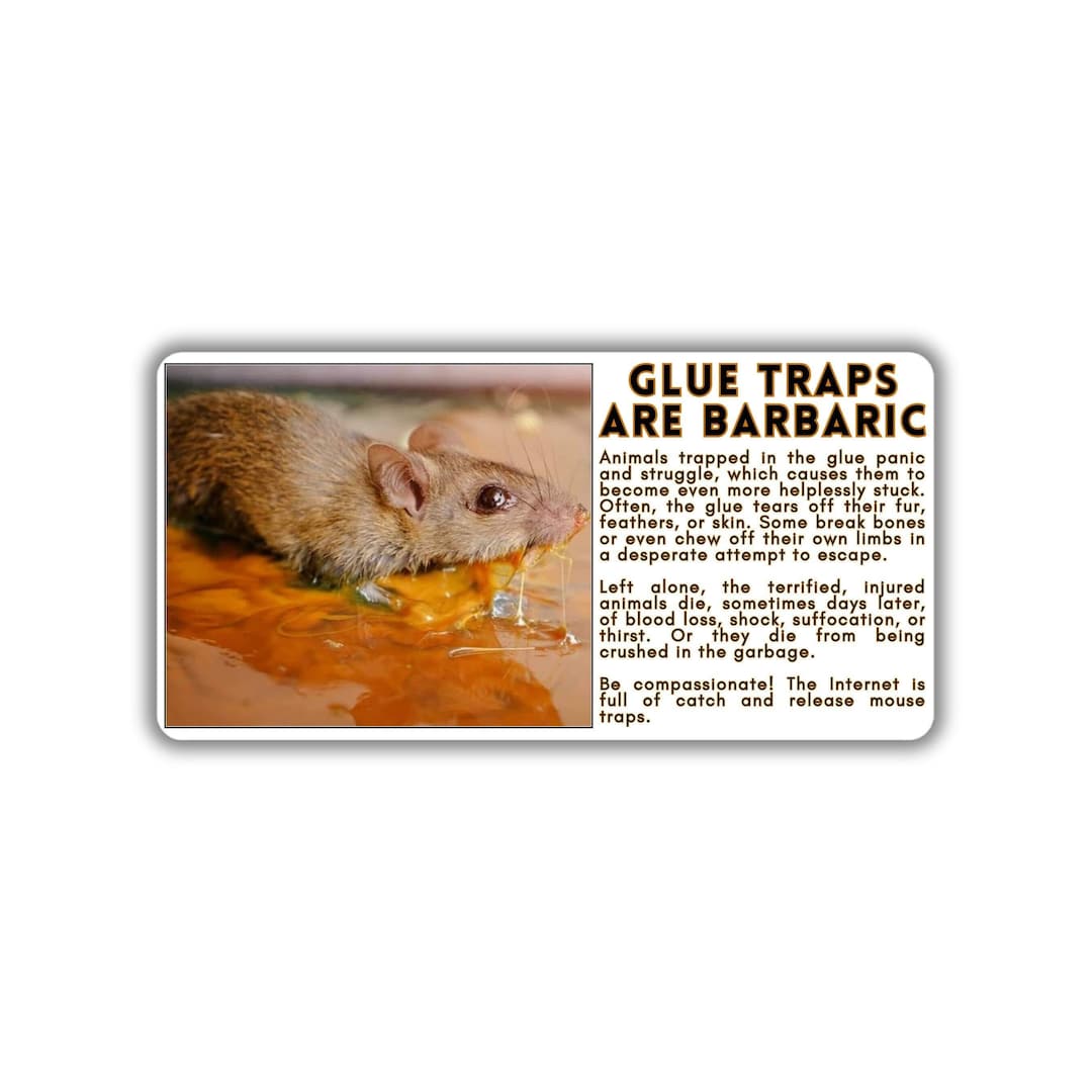 Vegan Activist Stickers Pack Activism Glue Trap for Mice Mouse Rat ...