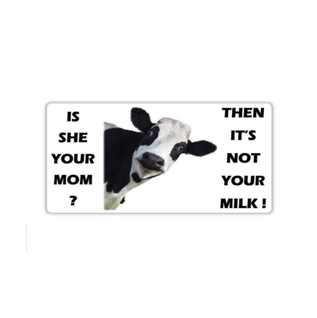 Vegan Activist Stickers Pack Cow Staring Confuse is She Your Mom Then ...