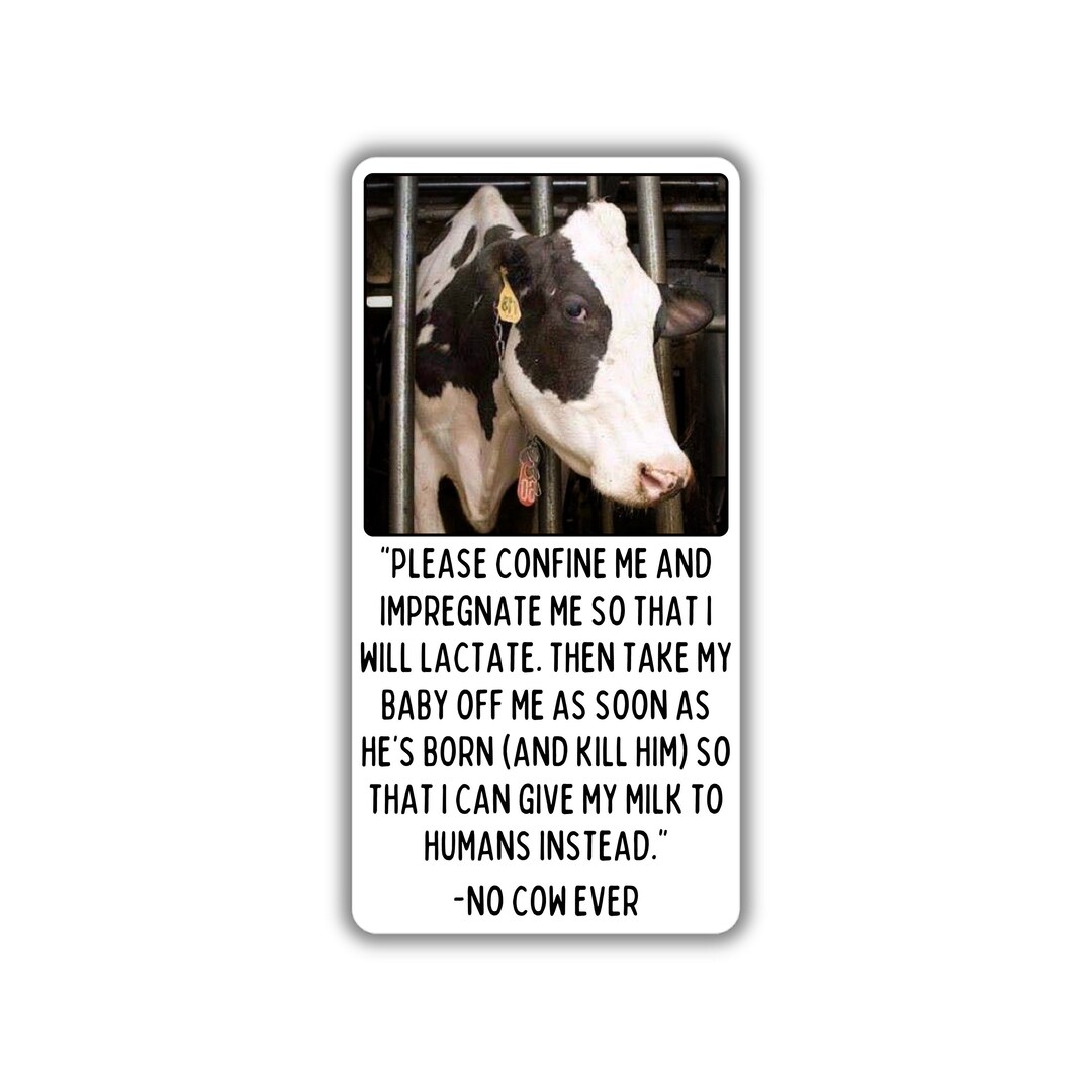 Vegan Activist Stickers Pack Cows Mother Produce Milk for Their Baby ...