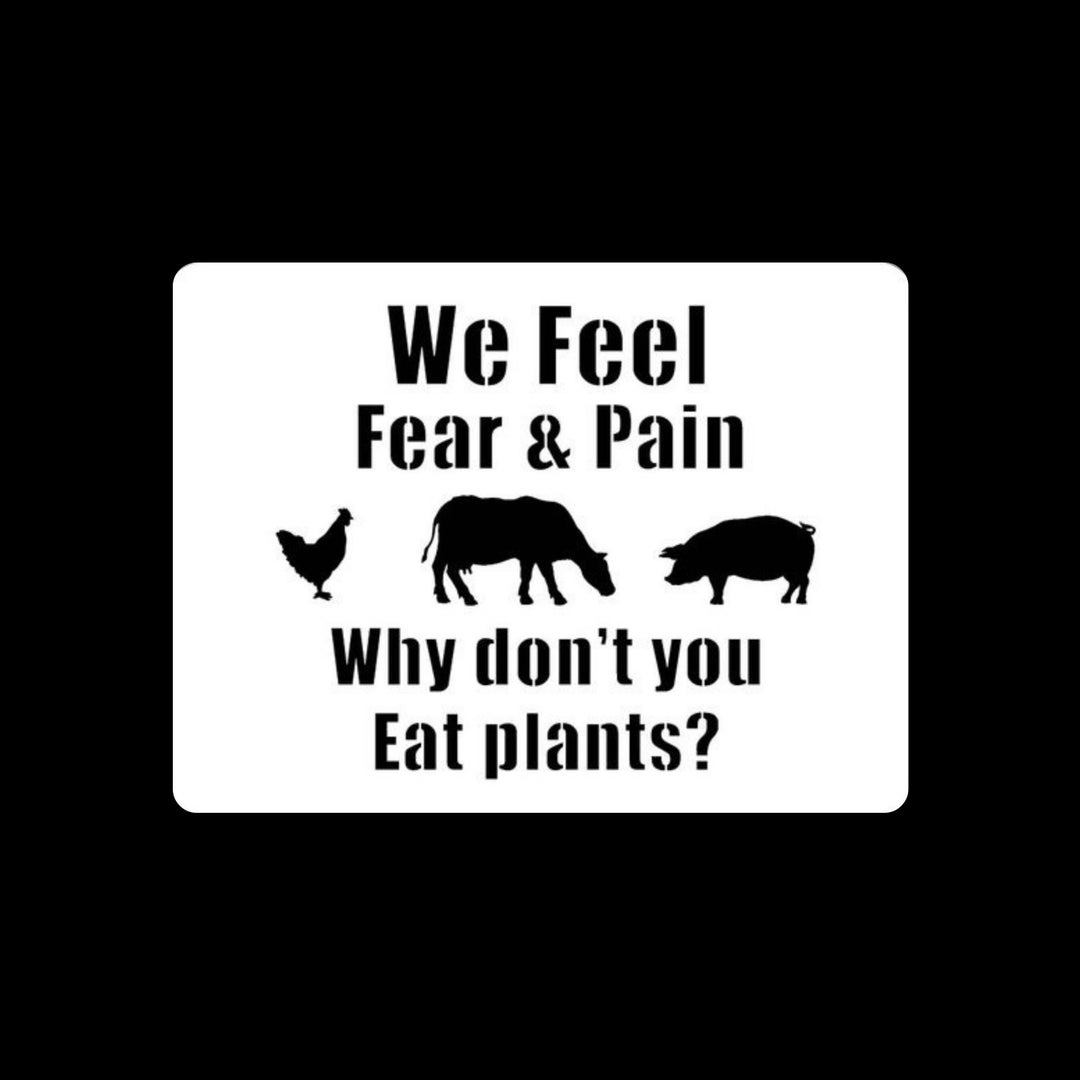 Vegan Stencil (we Feel Fear and Pain Why Dont You Eat Plants) Animal ...