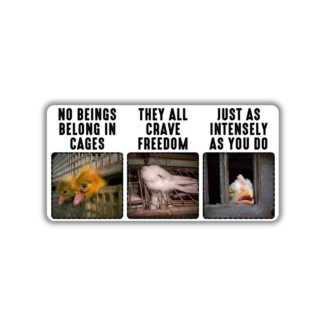 Vegan Activist Stickers Pack Animals in Cage Confine Chicken Duck ...